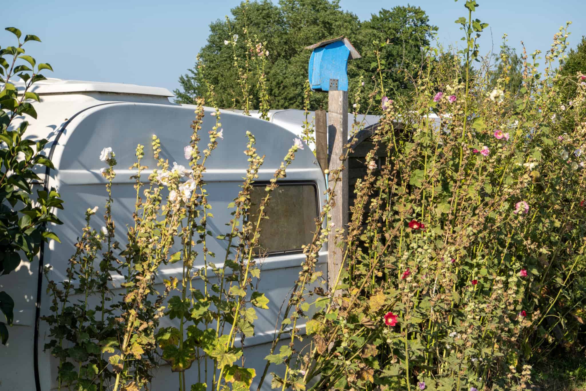 Galerie - Campingplatz Loissin